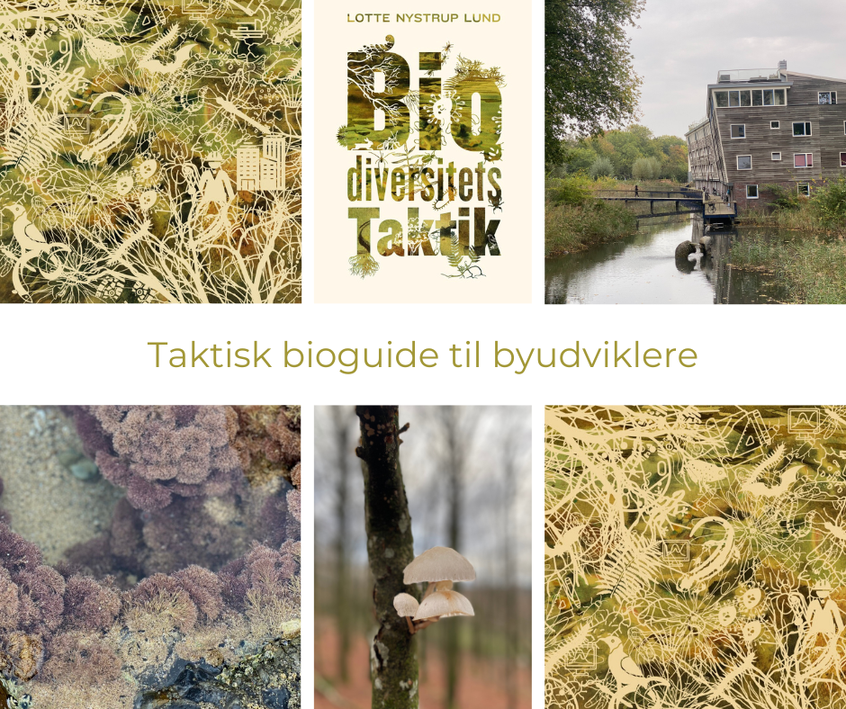 Boglancering af Danmarks første biodiversitetstaktik - By & Havn