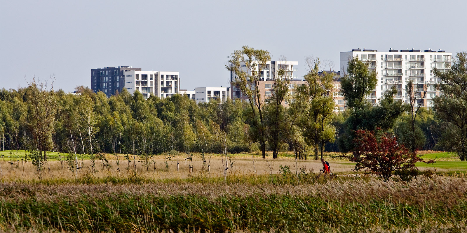 55 mio. kr. til Naturpark Amager fra Nordea-fonden - By & Havn