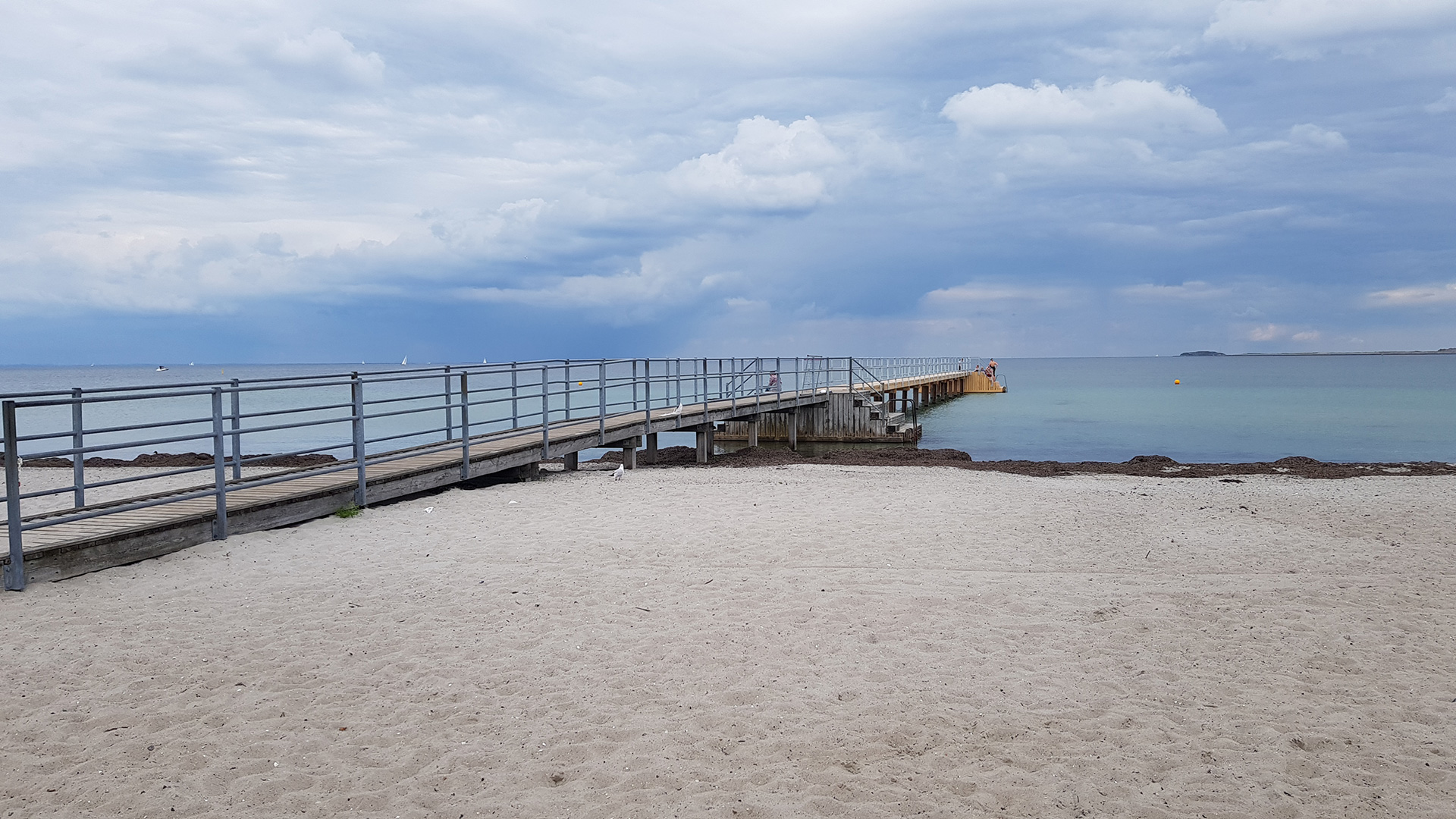 By & Havn opfører badebro - i Hellerup - By & Havn