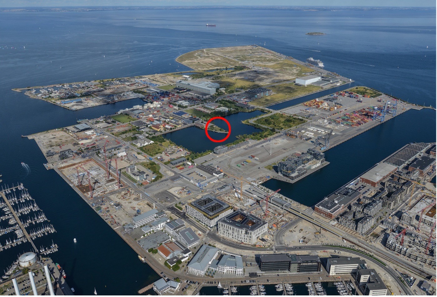 Søspejderne indtager Nordhavn - By & Havn