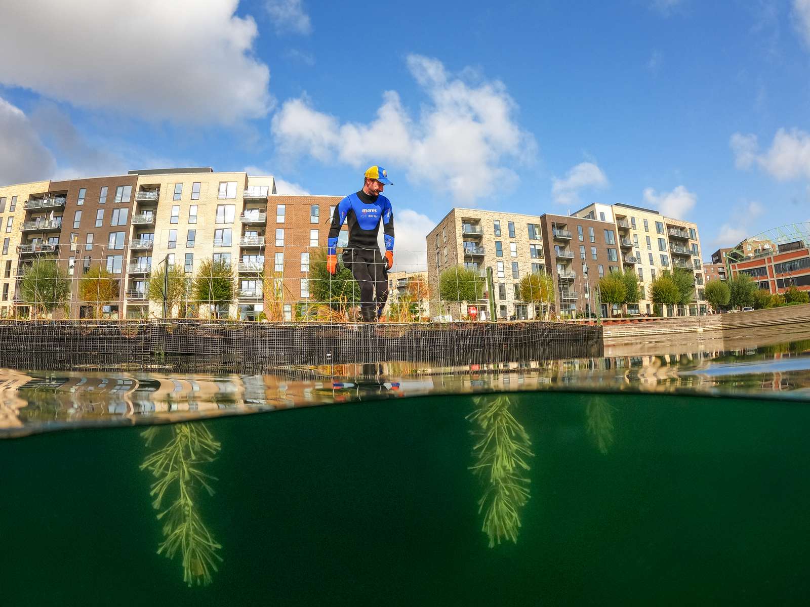 En flydende blomsterhave sætter spot på biodiversitet i Københavns Havn - By & Havn
